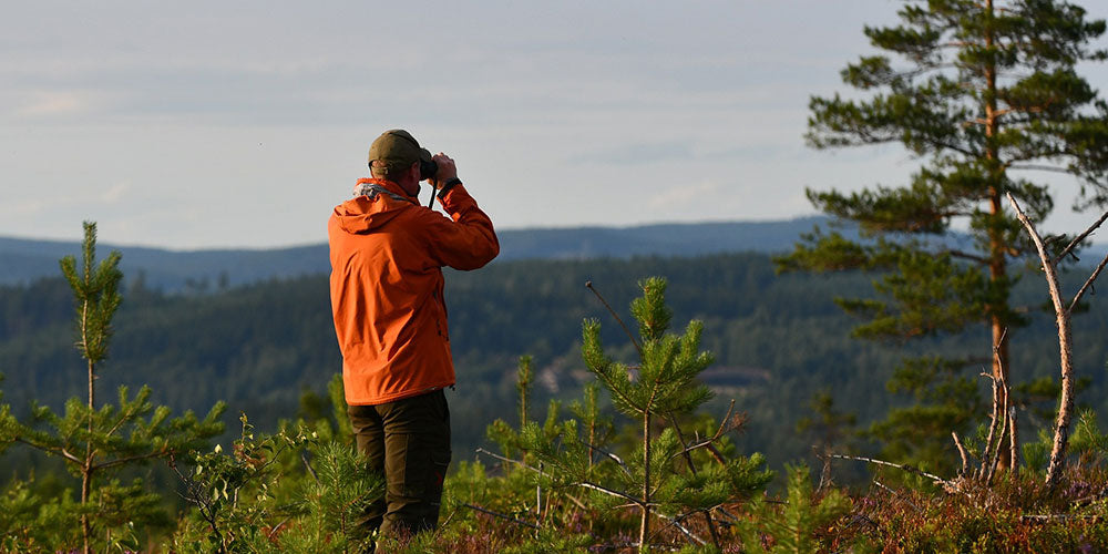 Budget vs. Premium Optics: What Do You Really Get for Your Money ...