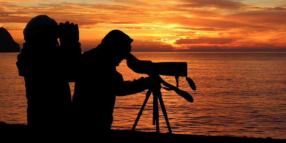 Targeting and Spectating Scopes: A Beginner’s Guide – ScopeUout NZ